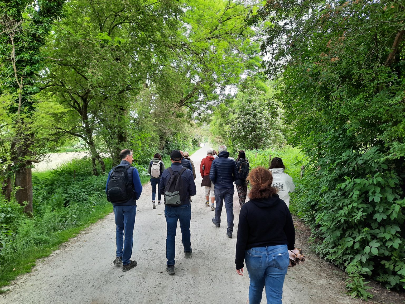 Atelier : "La Marche du Temps Profond" mercredi 4 juin - Estrela Conseil